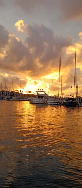 Capture LA's Coastal Magic-Wildlife, Marina Photography Tour - Final Thoughts