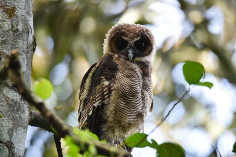 Capturing Wilpattu: A Wildlife Photography Expedition - The Sum Up