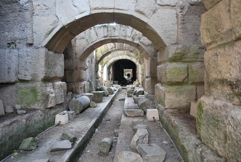 Capua: The Spartacus Arena and Gladiator Museum Tour - Authenticity, Value, and the Experience