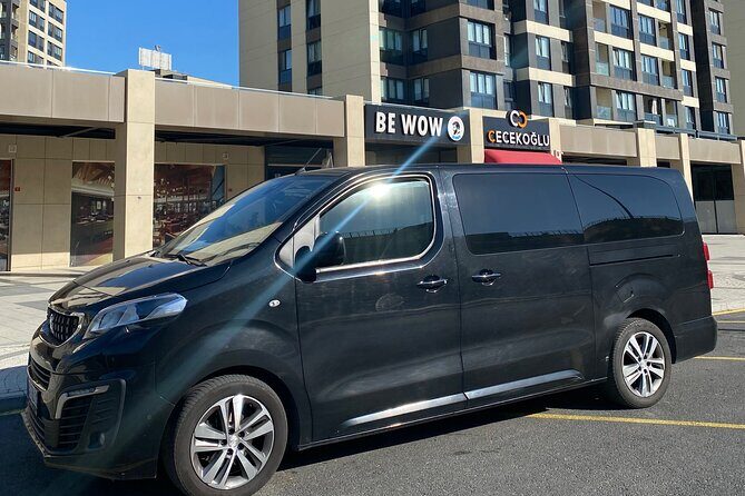 Car and Driver Private Tour in Istanbul - Comfort and Convenience: The Vehicle and Extras