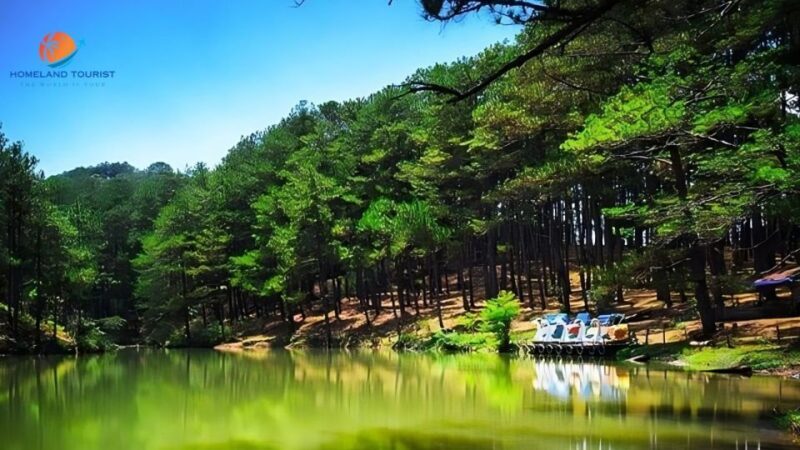 Car rental service in Dalat ( private with driver ) - Value and Cost Analysis