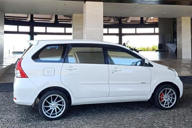 Car Rental With Driver 8-10 hours Tour - Minivan Toyota Avanza - The Downsides and Considerations