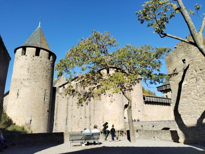 Carcassonne: Private Guided Tour of the Medieval Fortress - Who Will Enjoy This Tour Most?
