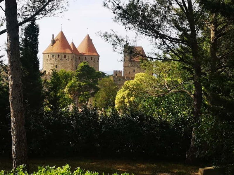Carcassonne Small Group Half-day tour from Toulouse - The Experience: What You Can Expect