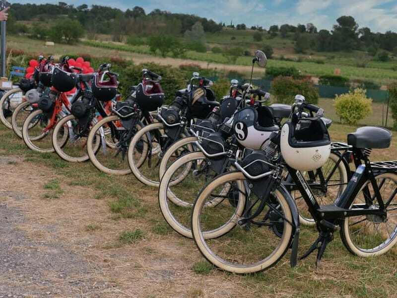 Carcassonne: Solex ride with guide and wine tasting - Key Points
