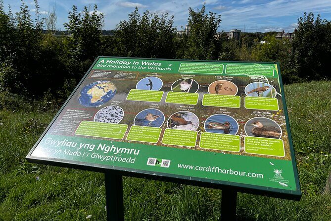 Cardiff Bay Private Self-Guided Tour - Who Should Consider This Tour?