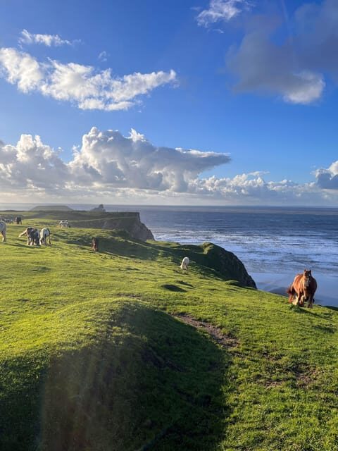 Cardiff: Gower Peninsula's Cliffs & Bays Scenic Day Tour - Rhossili Bay: The Crown Jewel