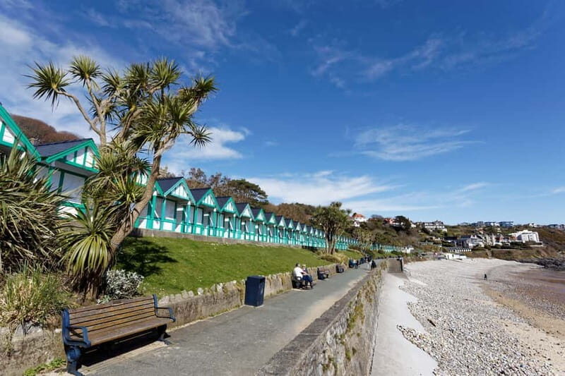 Cardiff: Private Day Tour Gower's Cliffs & Beaches - Key Points