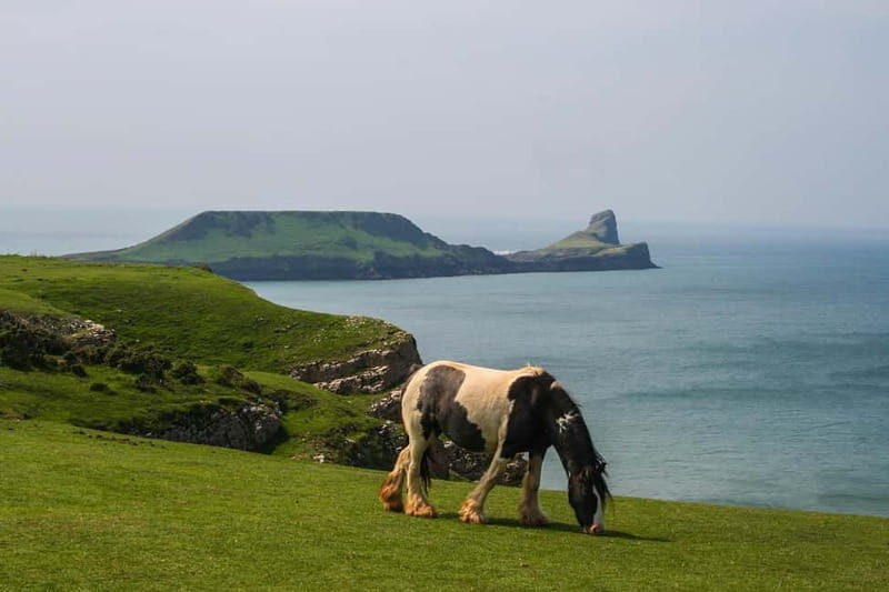 Cardiff: Private Day Tour Gower's Cliffs & Beaches - The Essentials of This Day Trip