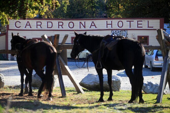 Cardrona High Country Pub Trail Horse Riding Trek (Intermediate+) - A Scenic Ride through New Zealands Mountains and Valleys