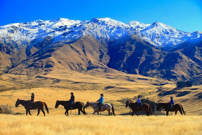 Cardrona High Country Pub Trail Horse Riding Trek (Intermediate+) - The Horses and Guides