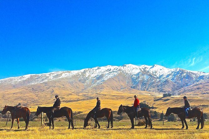 Cardrona High Country Pub Trail Horse Trek (Intermediate level+) - An In-Depth Look at the Experience