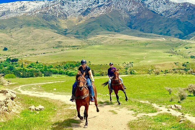 Cardrona High Country Pub Trail Horse Trek (Intermediate level+) - Visualizing the Experience
