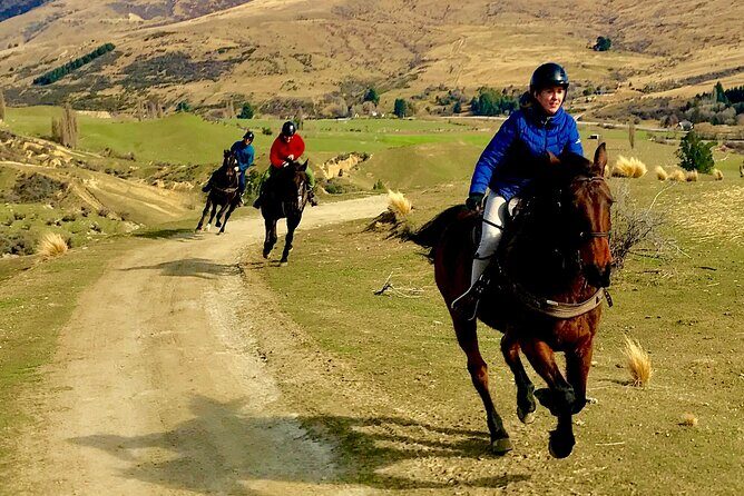 Cardrona High Country Pub Trail Horse Trek (Intermediate level+) - FAQ