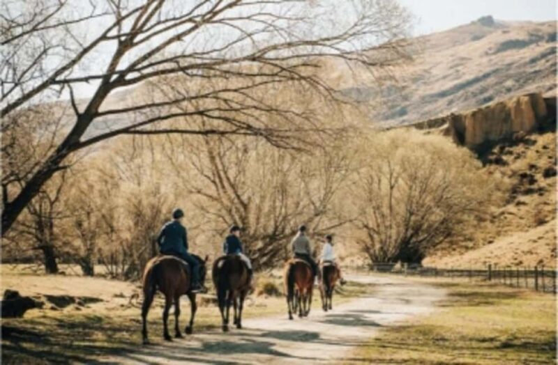 Cardrona Valley: Horse Trekking Experience - The Itinerary and What You Can Expect