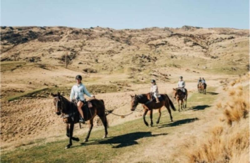 Cardrona Valley: Horse Trekking Experience - Authenticity and the Personal Touch
