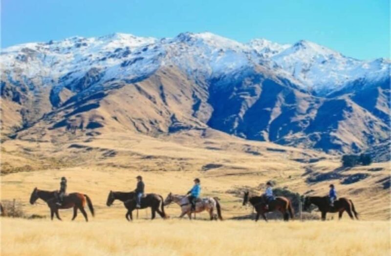 Cardrona Valley: Horse Trekking Experience - Who Will Love This Tour?