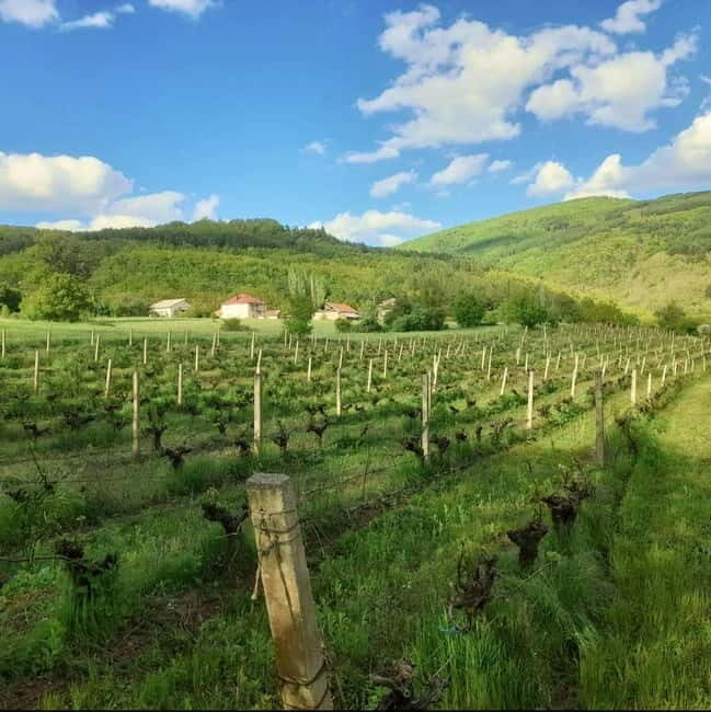 Careva Distillery: Taste Macedonian Brandies, Wines & Nature - Summing Up: Is It Worth It?