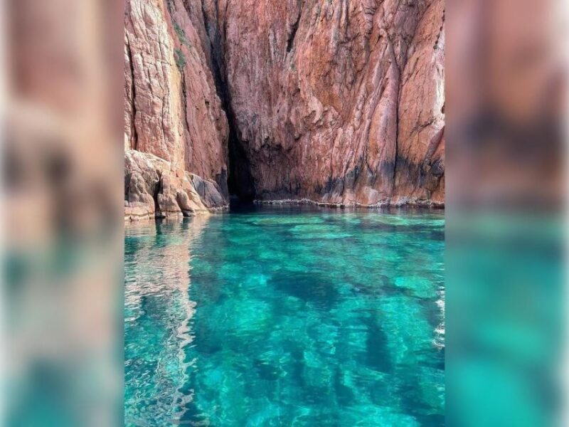 Cargèse: Capo Rosso "Snorkeling" and Sea Cave Tour - Key Points