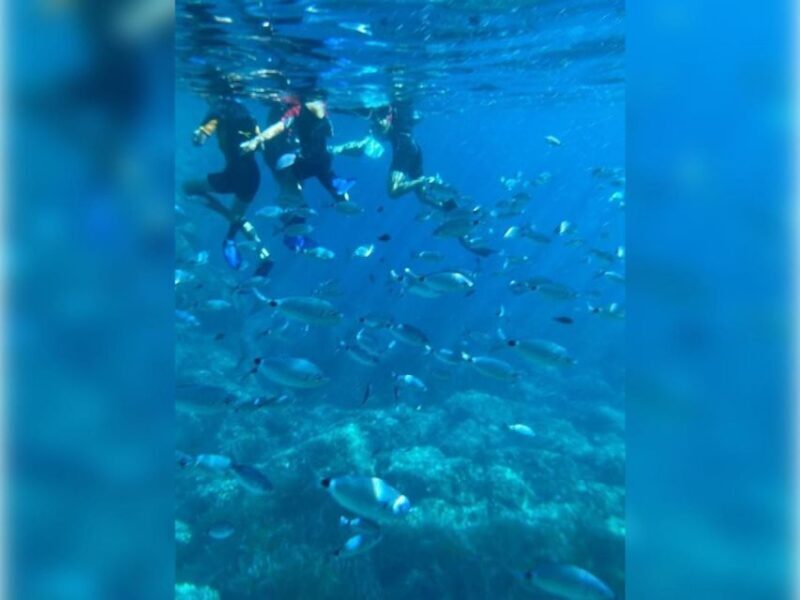 Cargèse: Capo Rosso "Snorkeling" and Sea Cave Tour - What We Appreciate and What Could Be Better