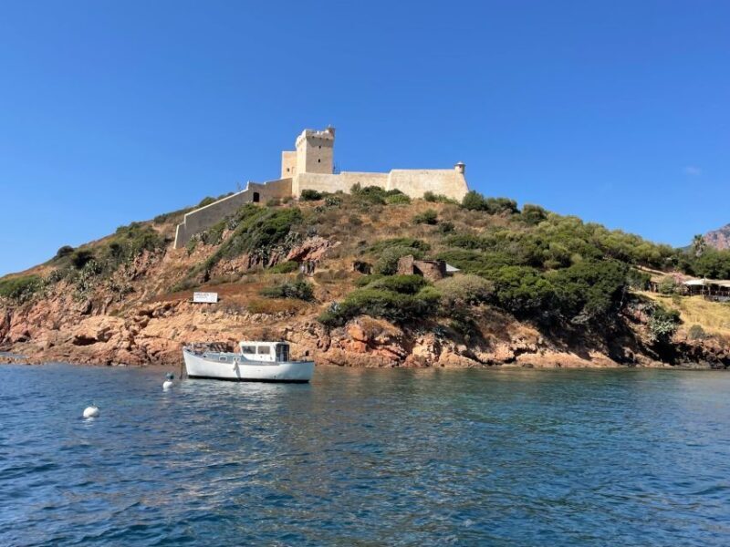 Cargèse: Scandola and Piana Boat Tour with Stop at Girolata - Practical Tips for the Trip