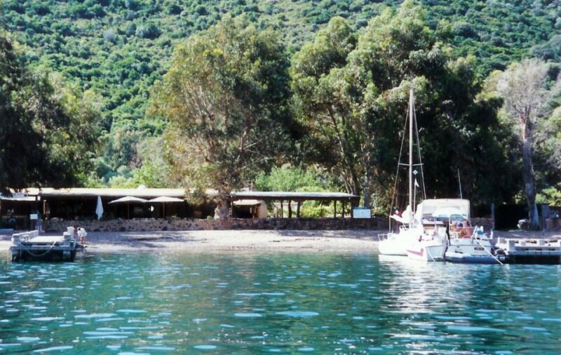 Cargèse:Scandola/Piana/Stop in Girolata Half-Day on RIB boat - Exploring Corsica’s Coast by RIB: What You Can Expect