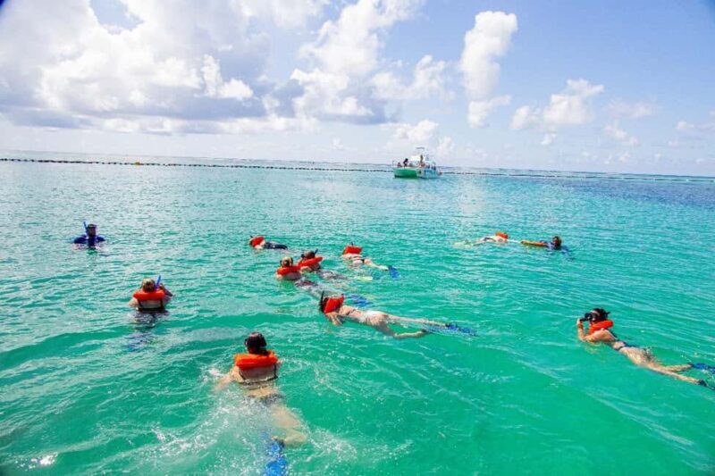 Caribbean Sea With Lagoon Half Day Tour - Snorkeling in the Caribbean: Discovering Underwater Color