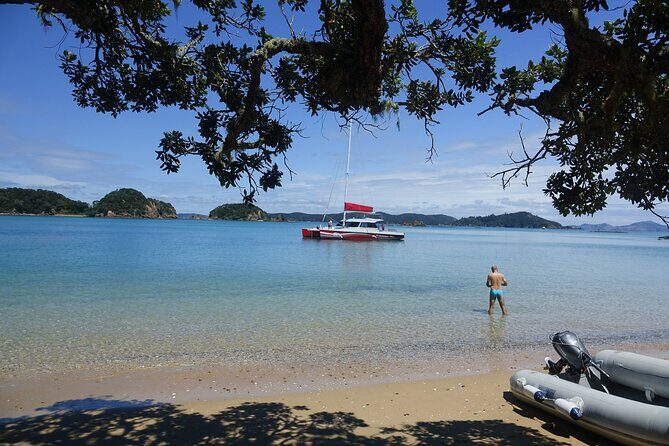 Carino Wildlife Cruises - Island and Wildlife Day Cruise - The Value Proposition