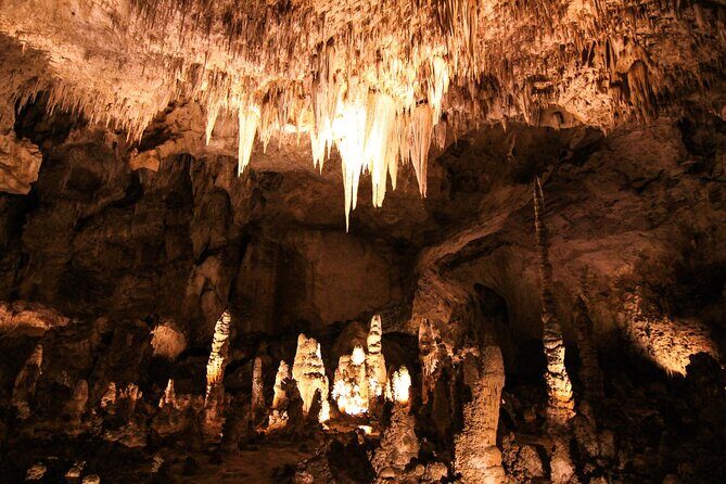 Carlsbad Caverns Self-Guided Walking Tour (Not a ticket) - Authentic Experiences from Fellow Travelers