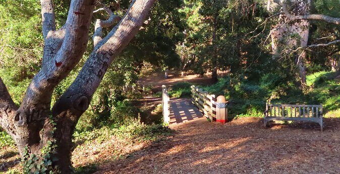 Carmel-by-the-Sea Mission Areas: A Self-Guided Audio Tour - FAQ: Practical Questions Answered