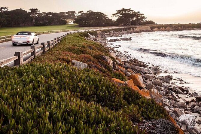 Carmel Drive Tour - Exploring the Itinerary in Detail