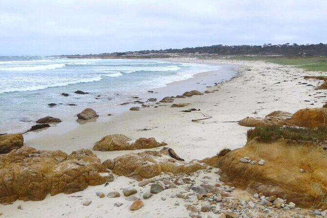 Carmel Drive Tour - Practical Considerations and Who It’s Best For