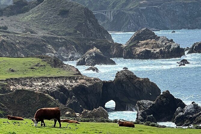 Carmel, Monterey and Big Sur Tour Private Tour from San Francisco - Practical Considerations