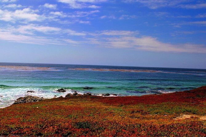 Carmel / Monterey Hwy 1 tour - What’s Included & What to Consider
