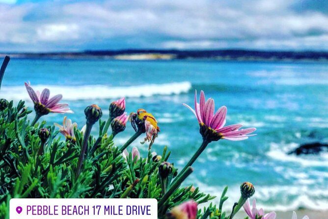 Carmel / Monterey Hwy 1 tour - FAQs