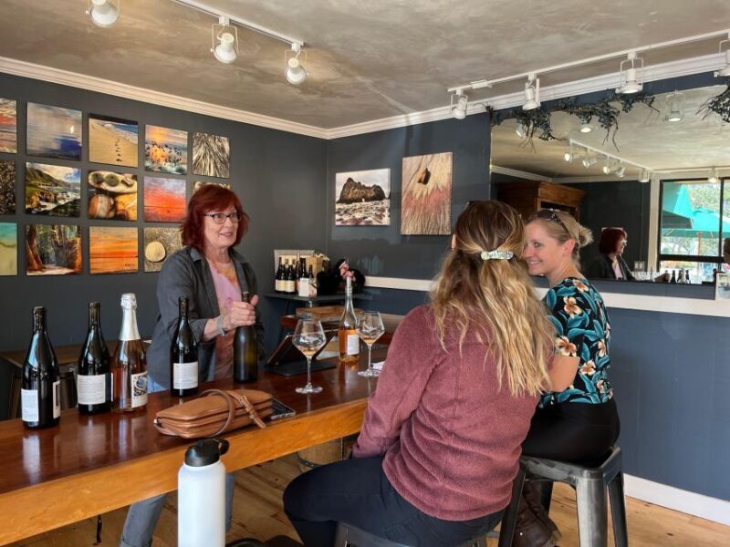 Carmel Valley Village: Wine Tasting Tours in a 1970 VW bus. - The Sum Up
