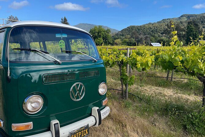 Carmel Valley Wine Tour in a Vintage VW Bus - The Experience: A Blend of Scenic Driving and Tasting Adventure