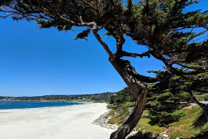 Carmels Hidden Gems Discovery Walk & Self-Guided Tour - Introduction: A Self-Guided Adventure into Carmel’s Quirky Corners