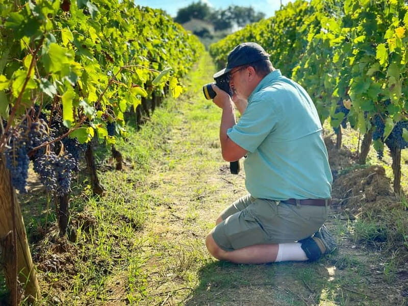 Carmignano: Wine Tour with a Wine Educator - A Deep Dive into the Carmignano Wine Tour Experience