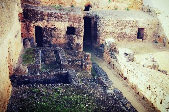 Carmona and Necropolis: Guided Day Tour from Seville - Sampling Olive Oil at Santa Maria