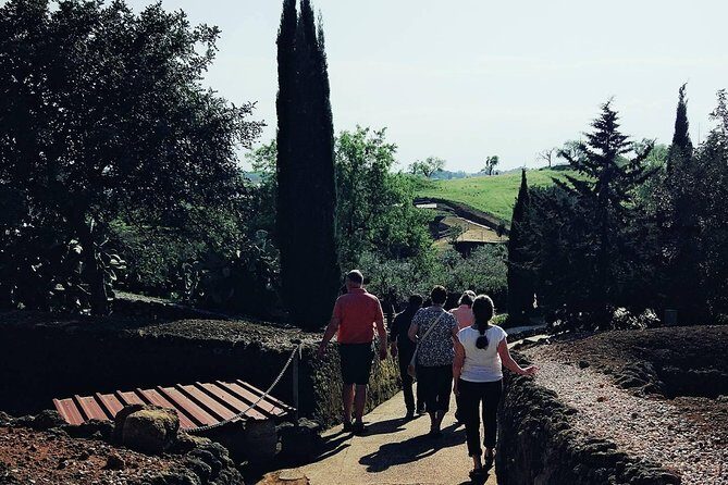 Carmona and Necropolis: Guided Day Tour from Seville - Who Will Love This Tour?