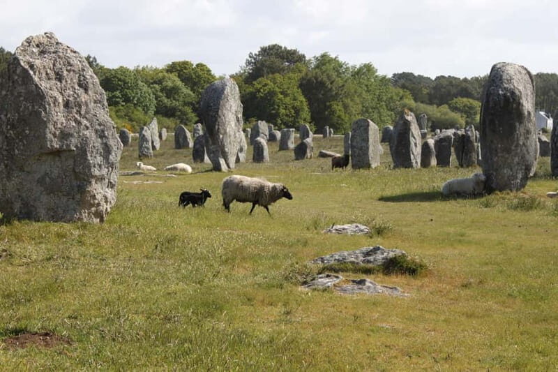 Carnac: Carnac Stones 40-Minute Audio-Guided Bus Tour - Transport and Logistics