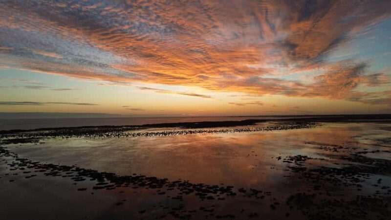 Carnarvon: Indigenous Guided Sunset Walk - Hands-On Foraging and Learning