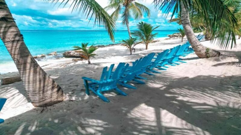 Carnevial Shore Excursion: Saona Island with Speedboat Ride - Key Points