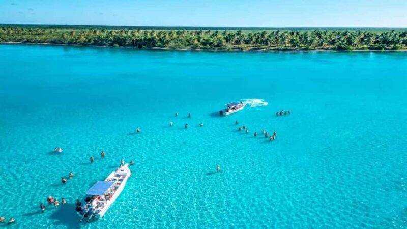 Carnevial Shore Excursion: Saona Island with Speedboat Ride - Insights from Real Traveler Reviews