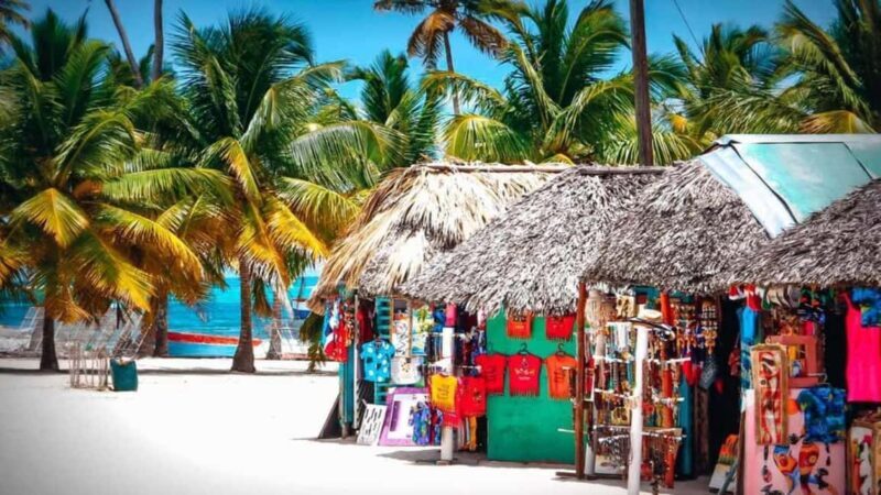 Carnevial Shore Excursion: Saona Island with Speedboat Ride - Is It Worth It? Analyzing the Value