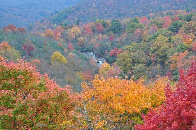 Carolina Waterfalls and Highlands Private VIP Boutique Tour - Practical Details