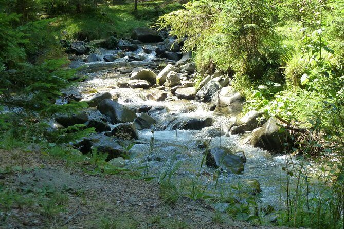 Carpathians in Romania: Bucegi Natural Park with native Spanish guide. - What Makes This Tour Special