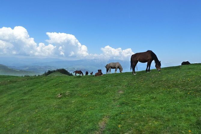 Carpathians in Romania: Bucegi Natural Park with native Spanish guide. - Practical Details: Preparing for the Day