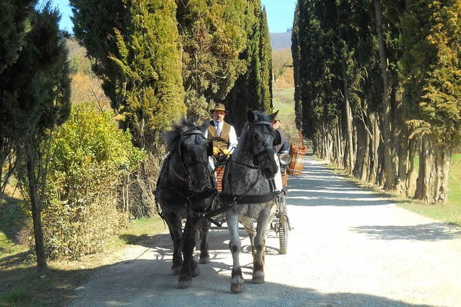 Carriage ride and Lunch in a typical restaurant in the heart of Chianti - The Itinerary: What You Can Expect